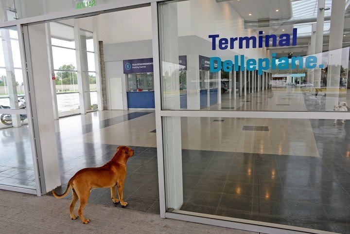 Dellepiane, la terminal "fantasma" que una resolución puede condenar al ...