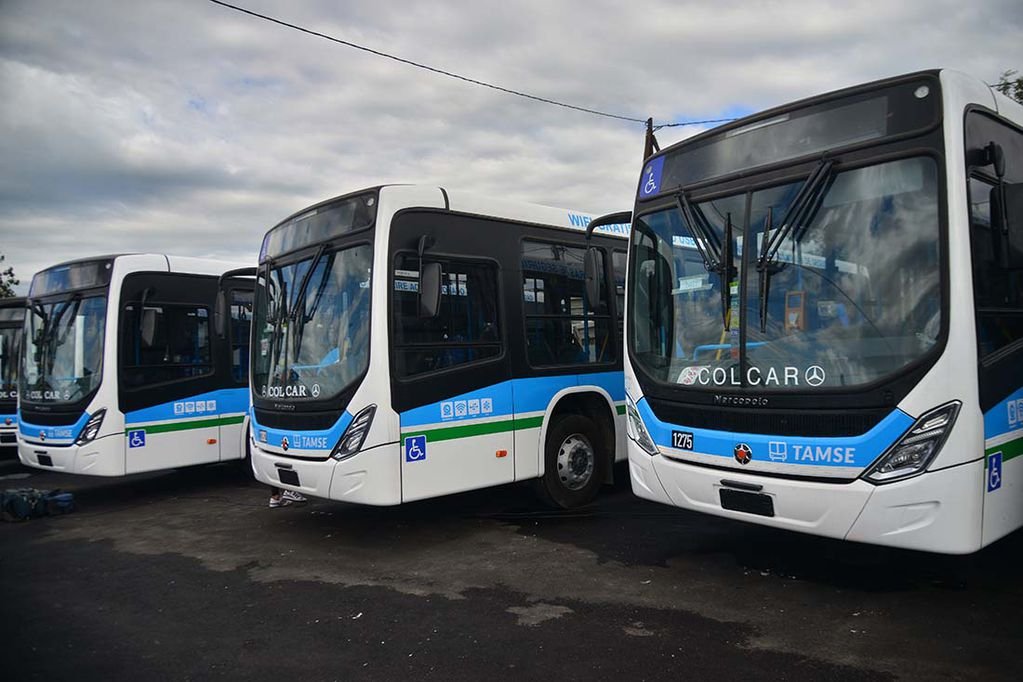 Córdoba: para qué se usarán los 50 nuevos ómnibus de la Tamse » Revista ...